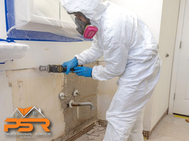 Mold Remediation | Professional Service | PSR Water Damage Restoration Mold Remediation | Professional Service | PSR Water Damage Restoration